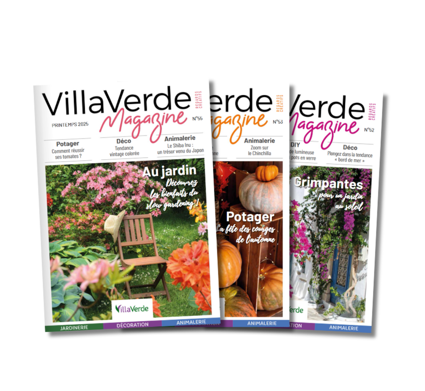 Jardin Animalerie Décoration I VillaVerde