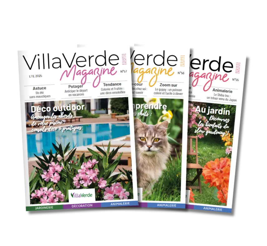 Jardin Animalerie Décoration I VillaVerde