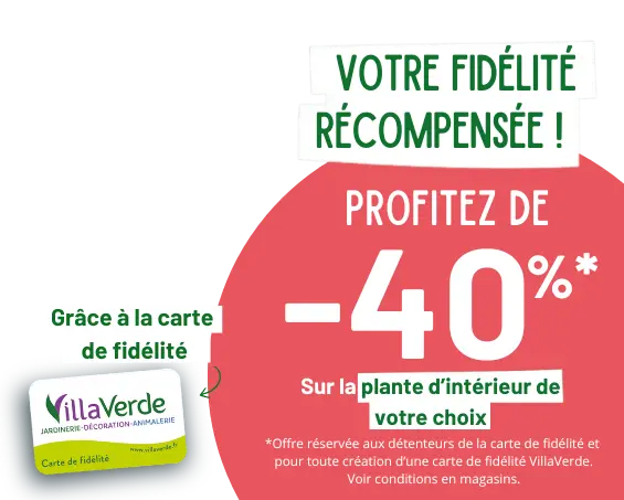 Jardinerie Animalerie Brive I VillaVerde