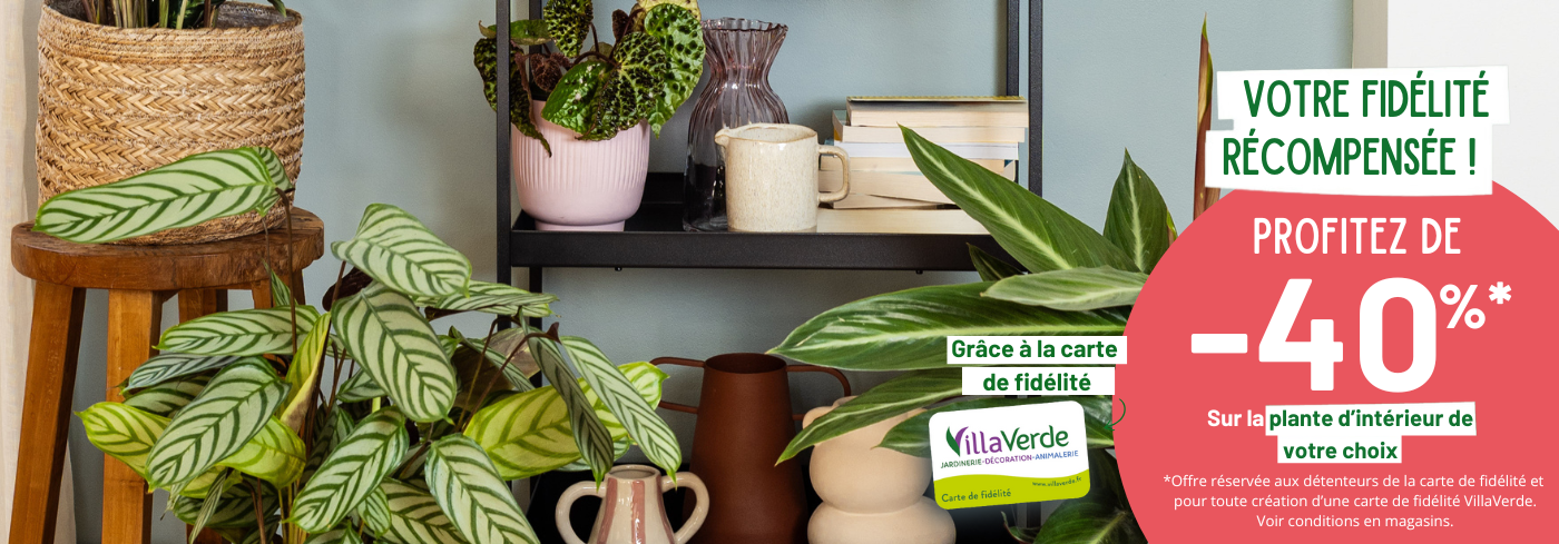 Jardinerie Animalerie Brive I VillaVerde