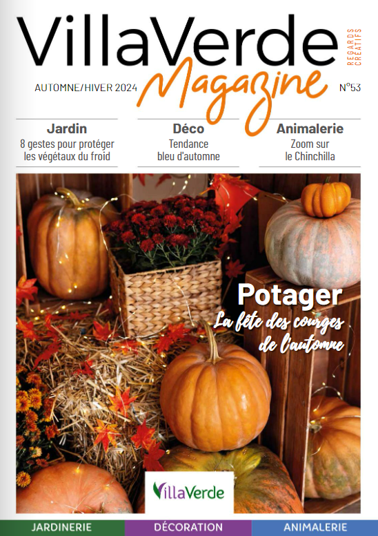 Magazines Et Catalogues I VillaVerde