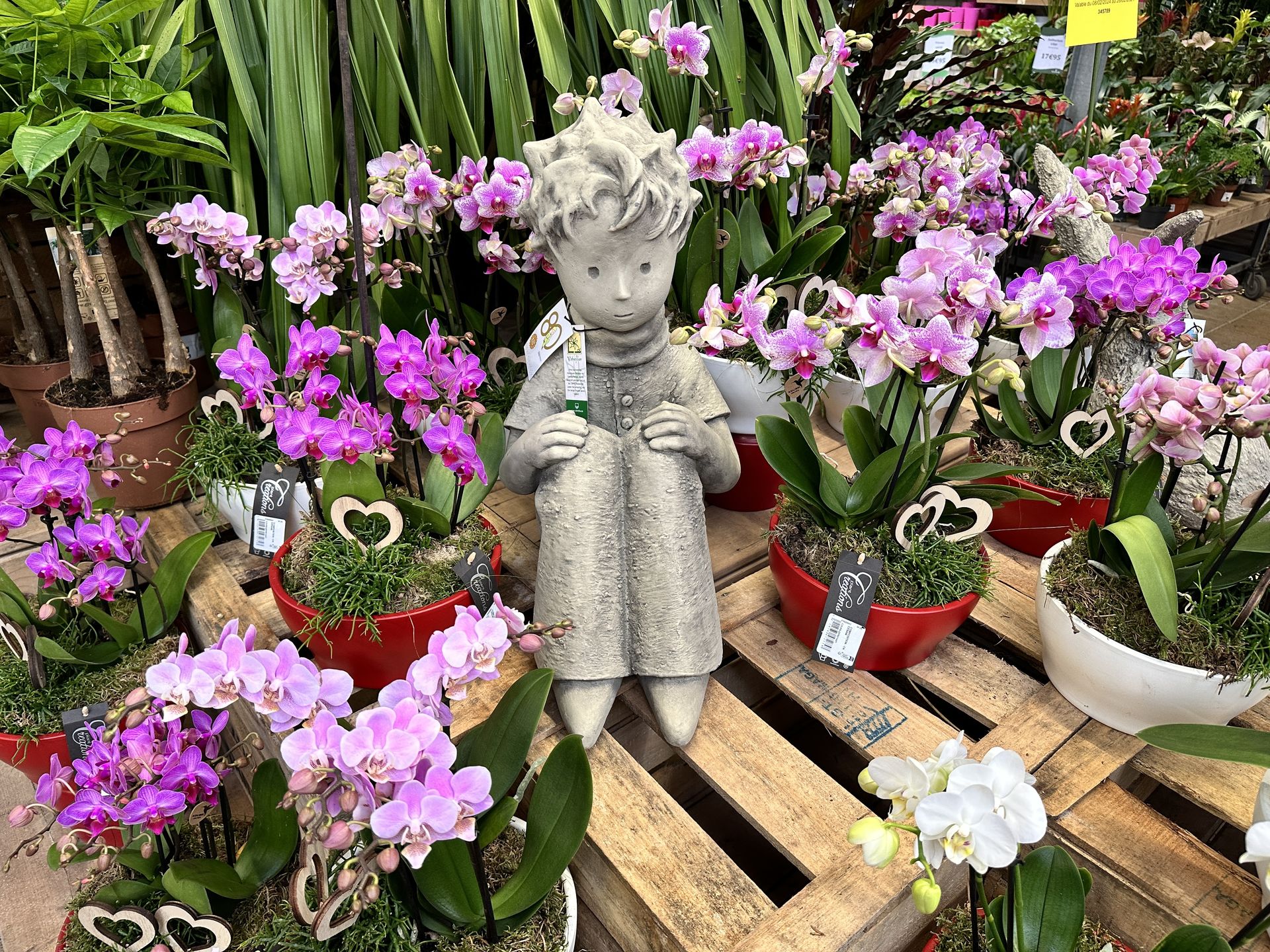 Animalerie Bourg En Bresse