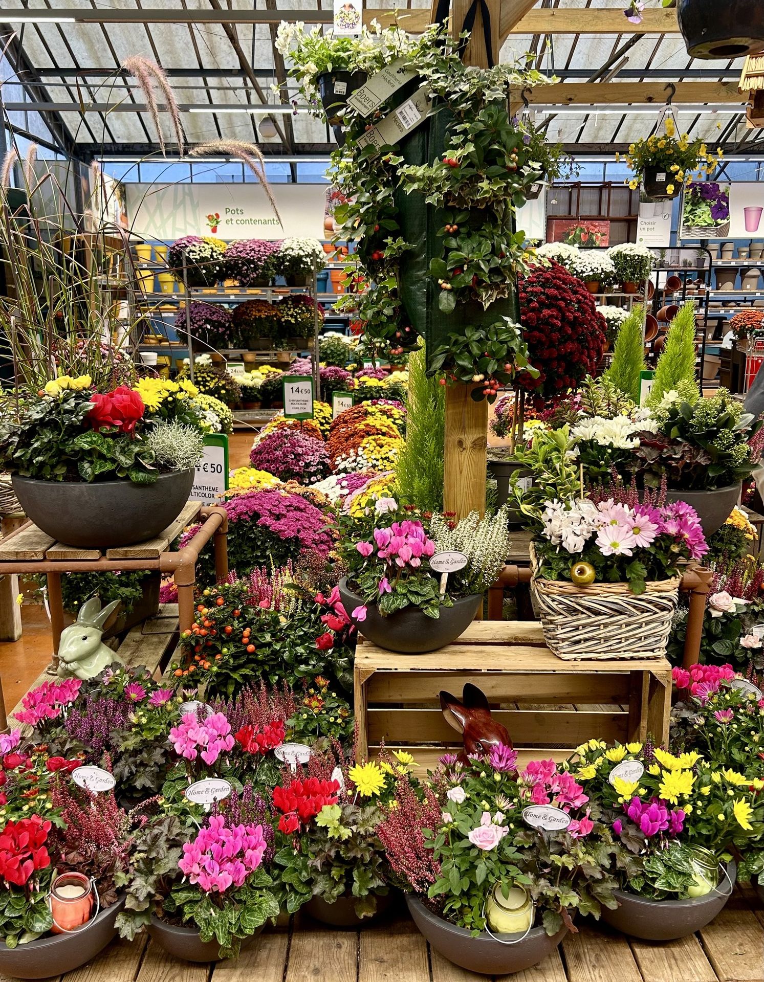 Jardinerie Animalerie Brive I VillaVerde